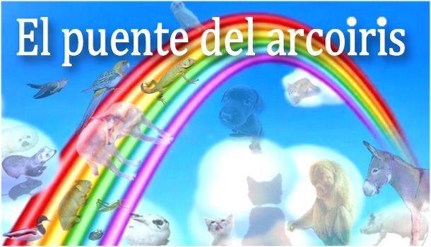 El puente del arco iris - Imagui